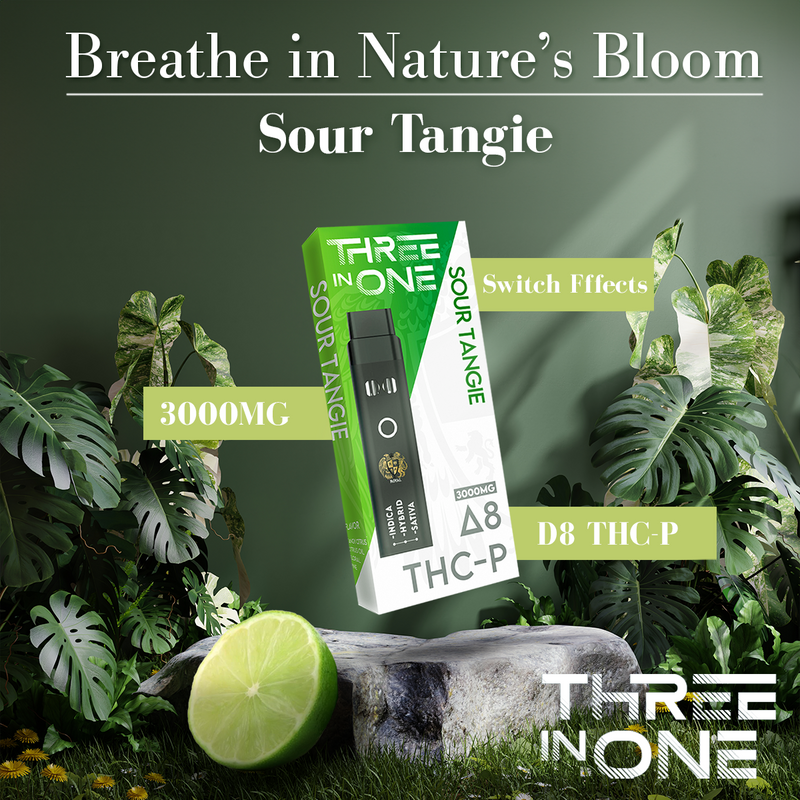 Delta 8 + THC-P Three-In-One Disposable Vape: Sour Tangie (3000MG) – RA ...
